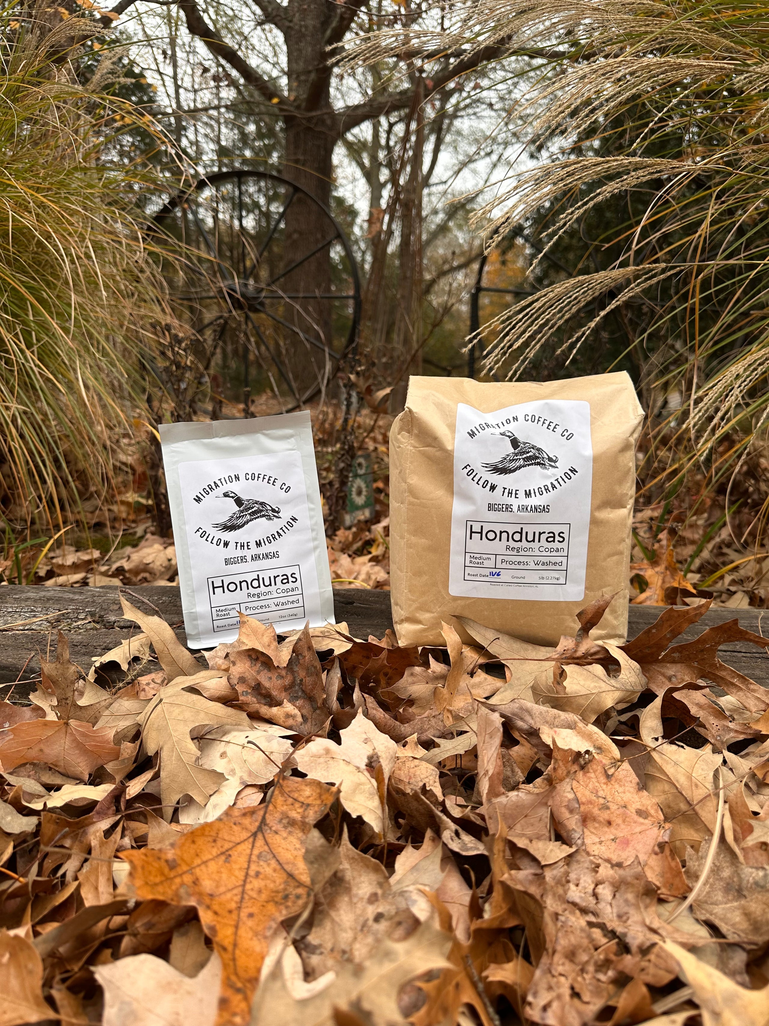 Coffee Beans | Migration Coffee Company